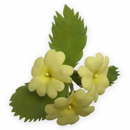 Primrose Cutter Set | SugarCraftShop, Glasgow